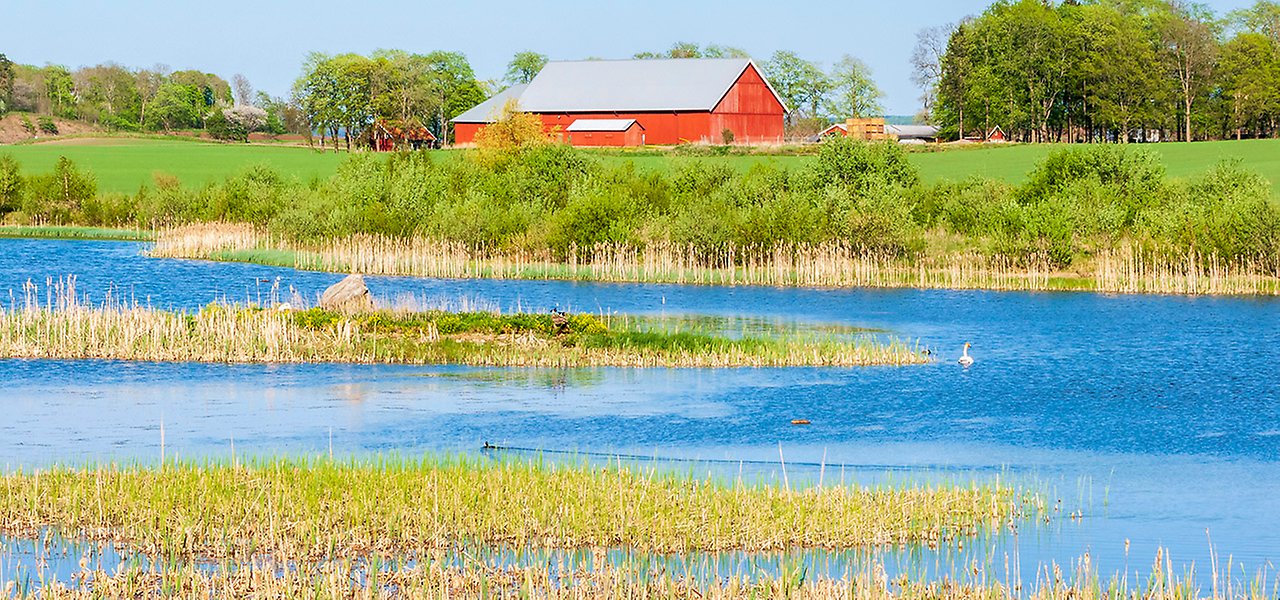 Halmstad University - Högskolan i Halmstad